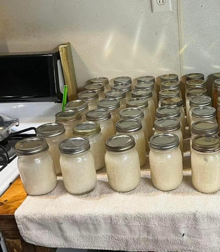 Rice Canning Recipe – Apps Rust